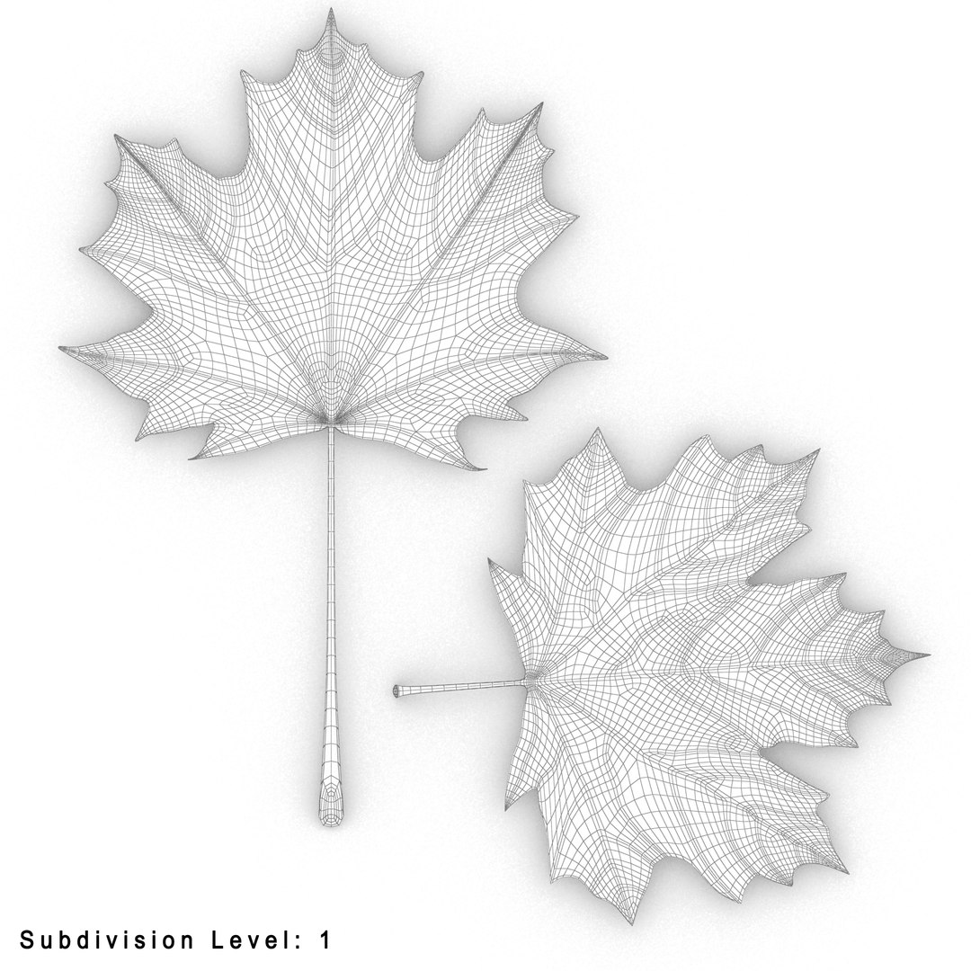 3d model maple leaves