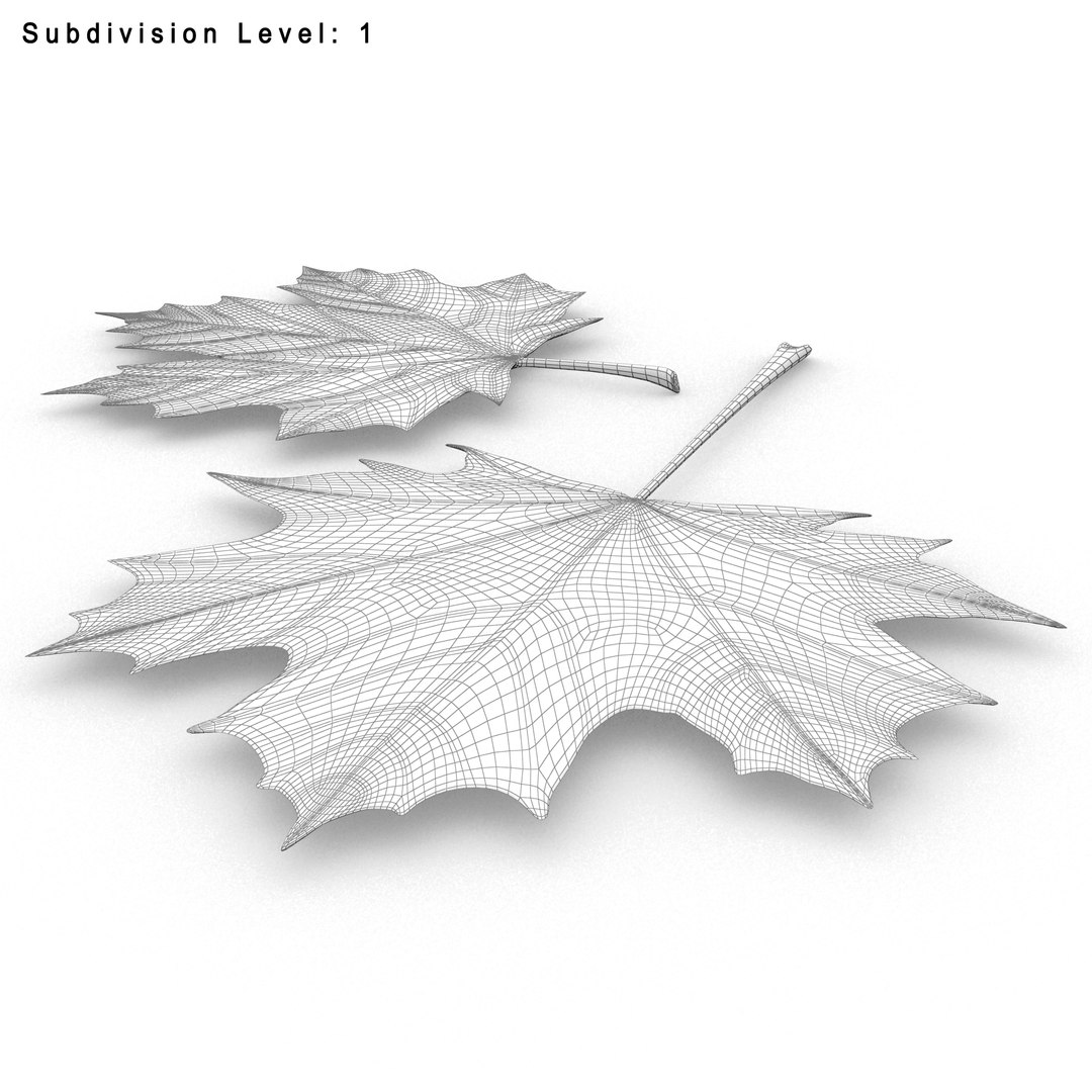 3d model maple leaves