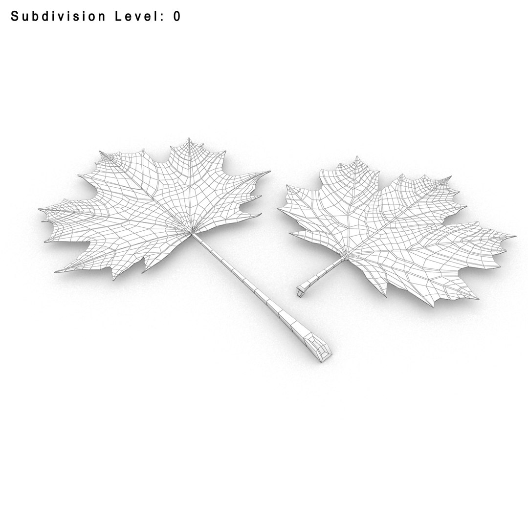 3d model maple leaves