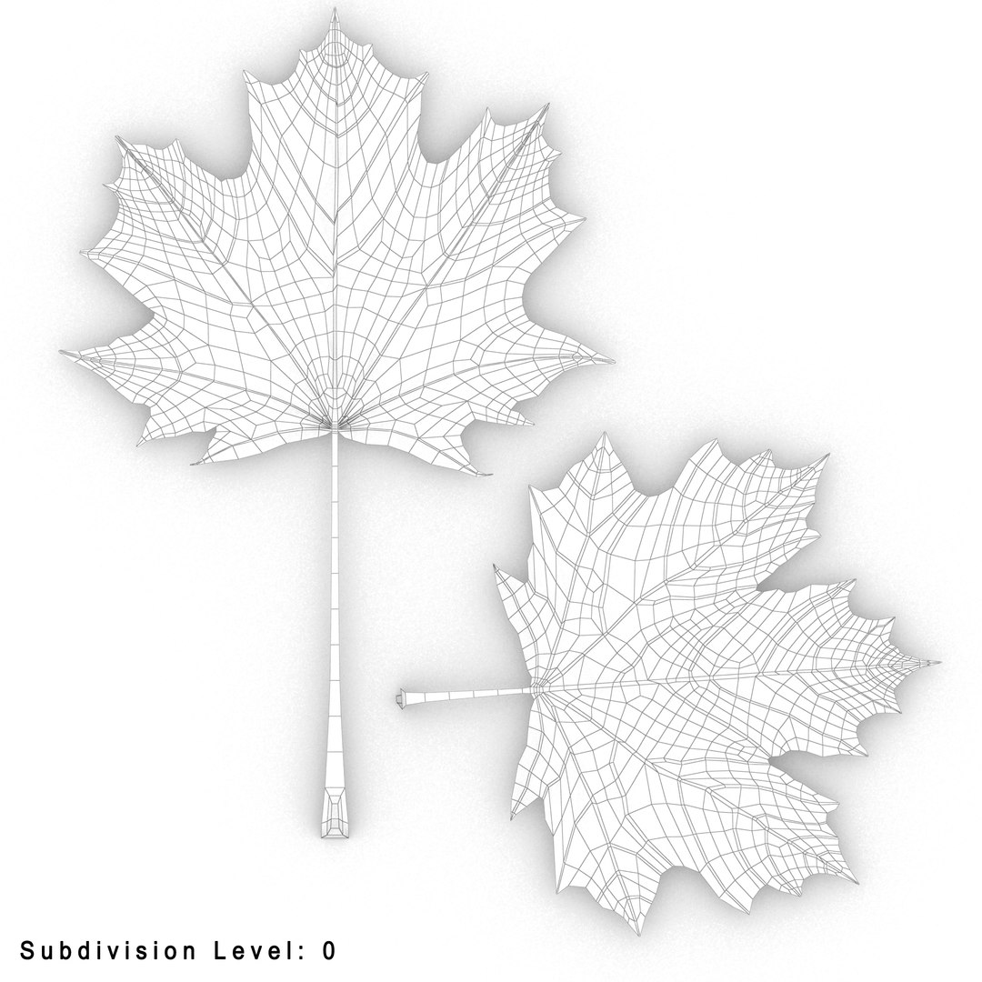 3d model maple leaves
