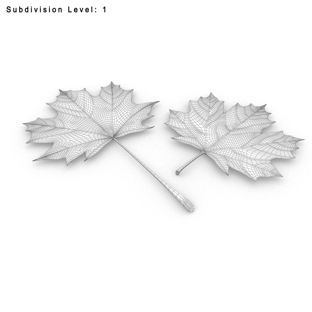 3d model maple leaves