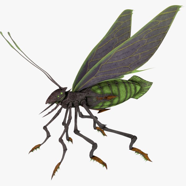 3D Firefly Models | TurboSquid