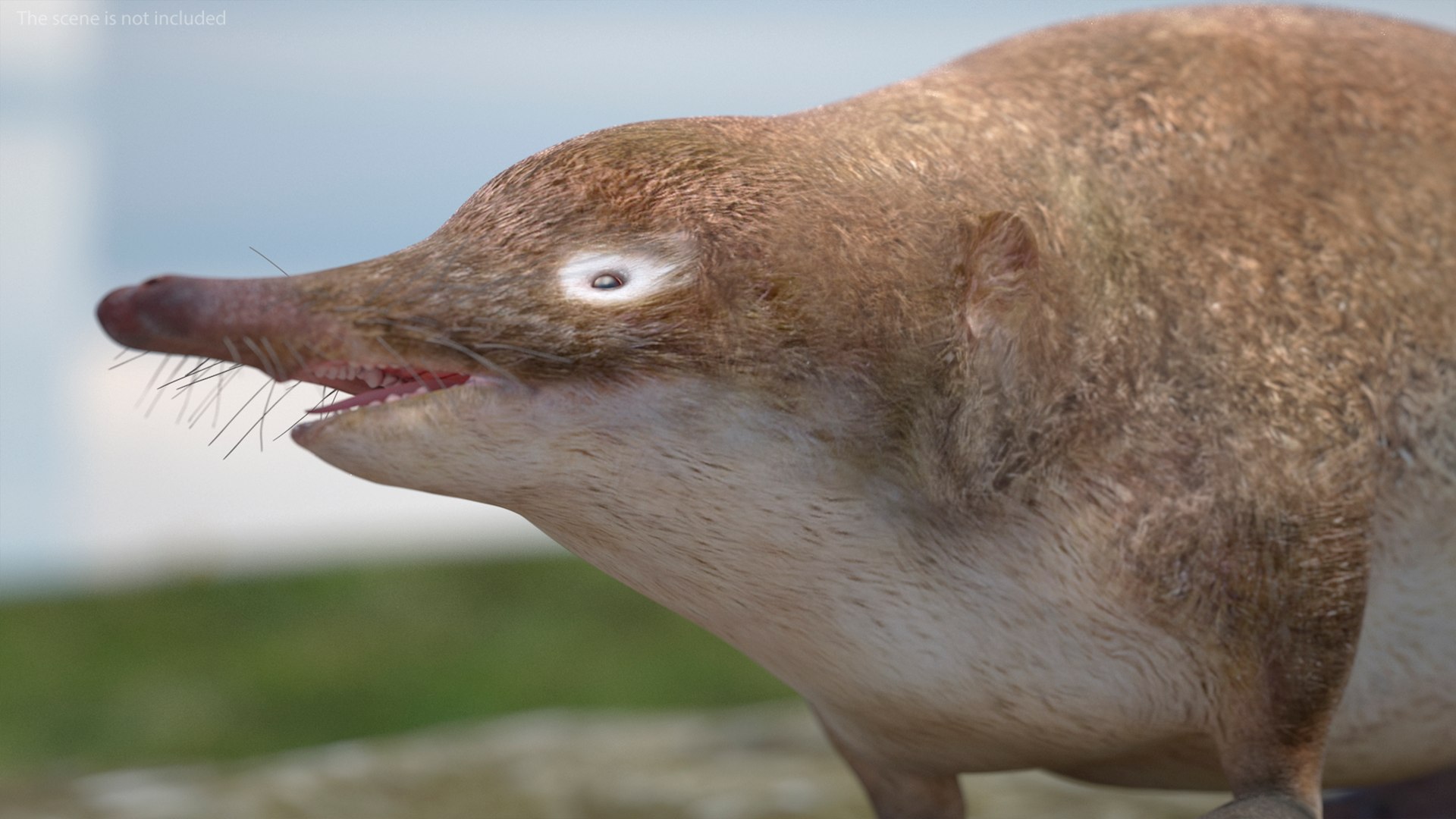 Desmana Moschata Rigged Model - TurboSquid 2191806