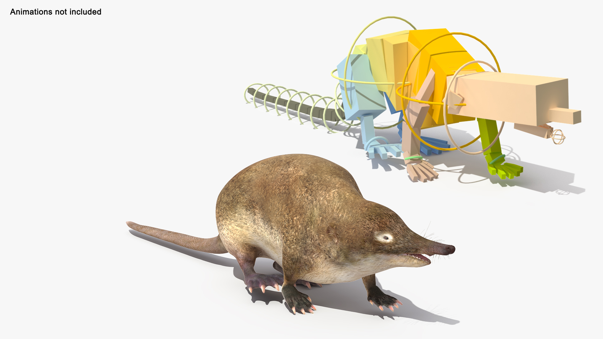 Desmana Moschata Rigged Model - TurboSquid 2191806