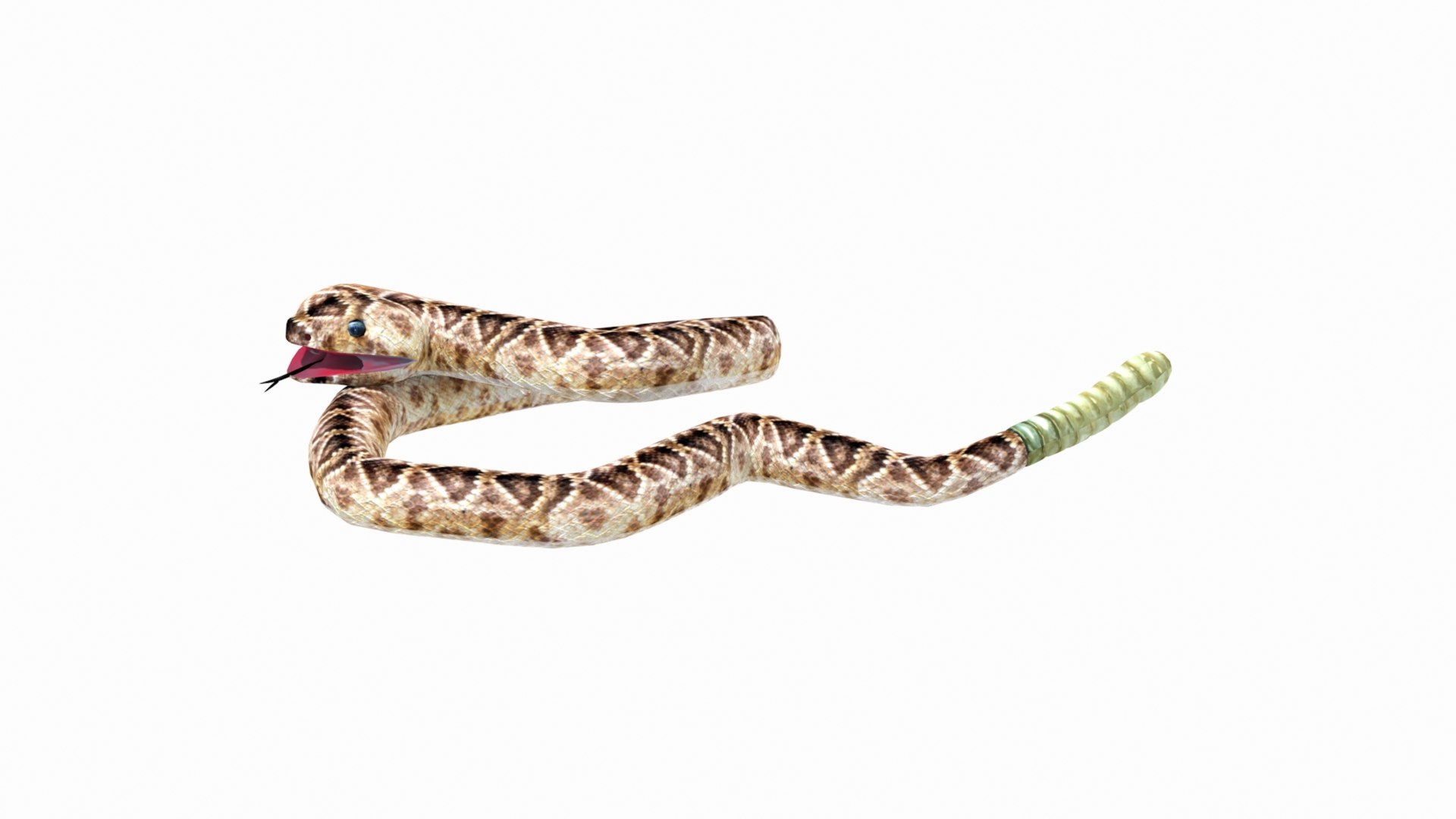 Rattlesnake Animated 3D Model - TurboSquid 2109757