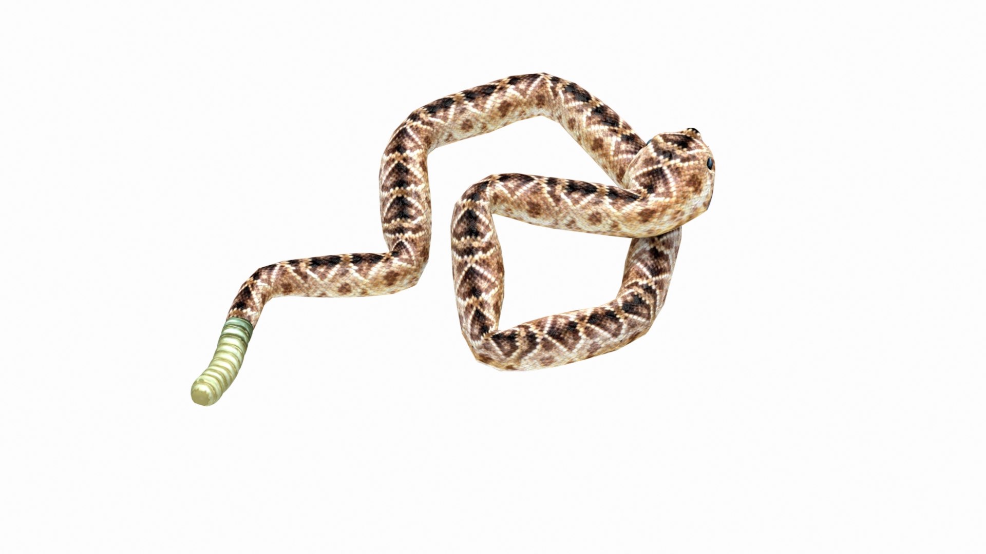 Rattlesnake Animated 3D Model - TurboSquid 2109757