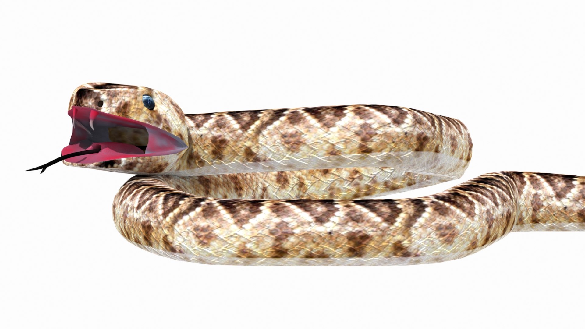 Rattlesnake Animated 3D Model - TurboSquid 2109757