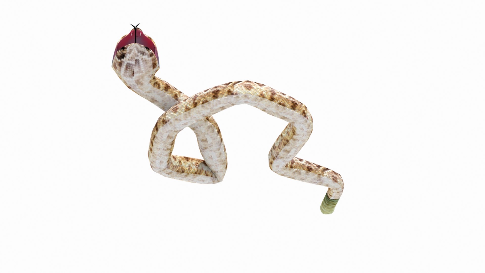 Rattlesnake Animated 3D Model - TurboSquid 2109757