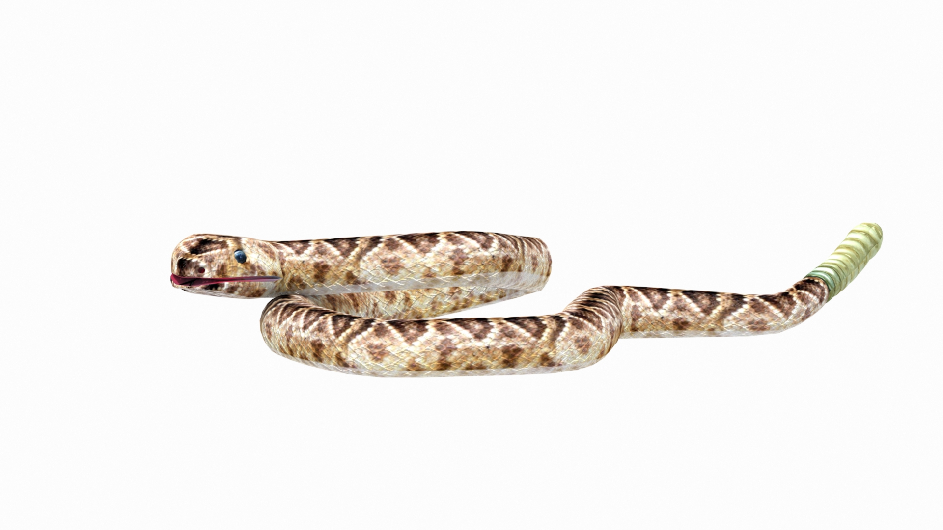 Rattlesnake Animated 3D Model - TurboSquid 2109757