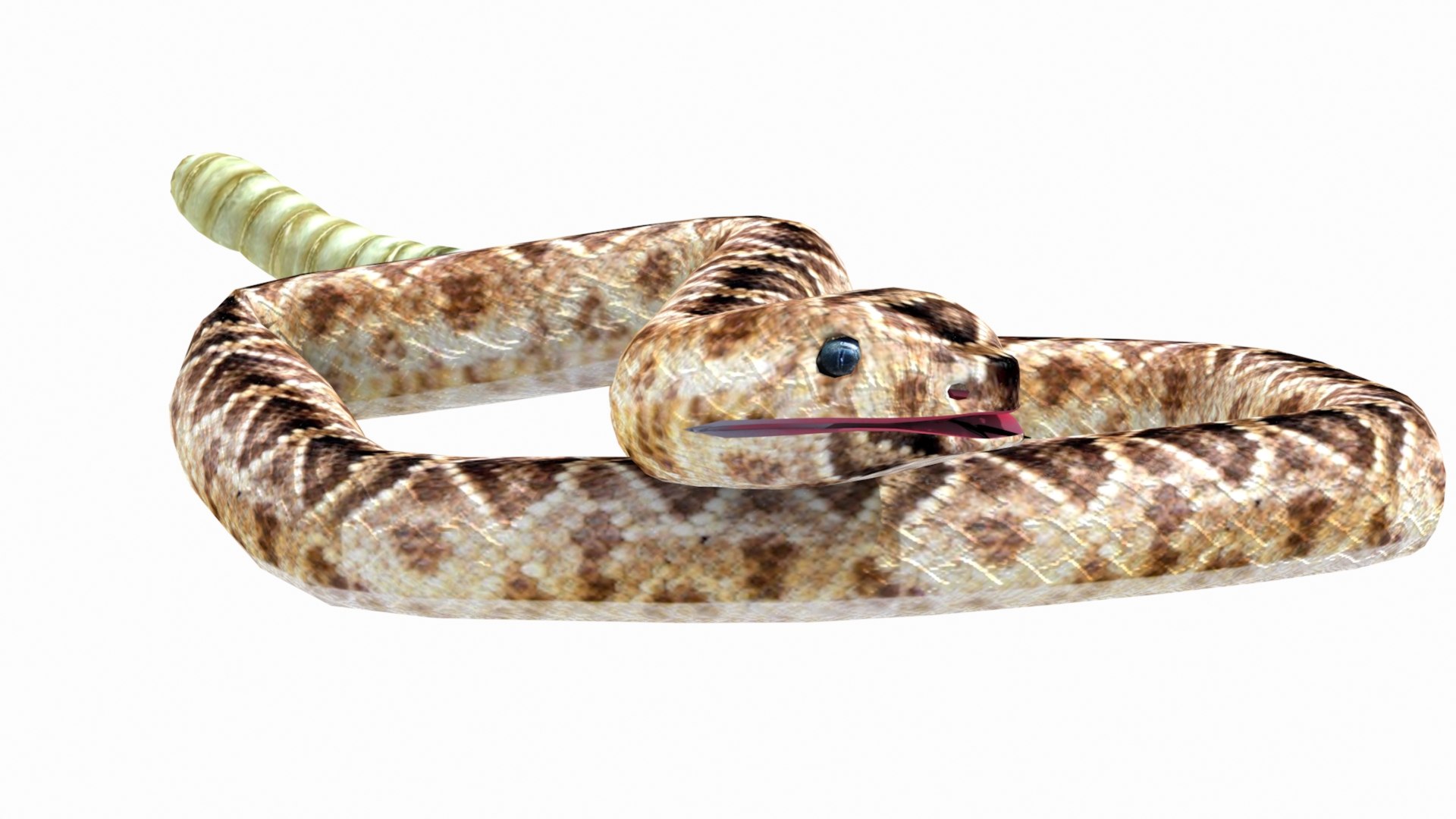 Rattlesnake Animated 3D Model - TurboSquid 2109757