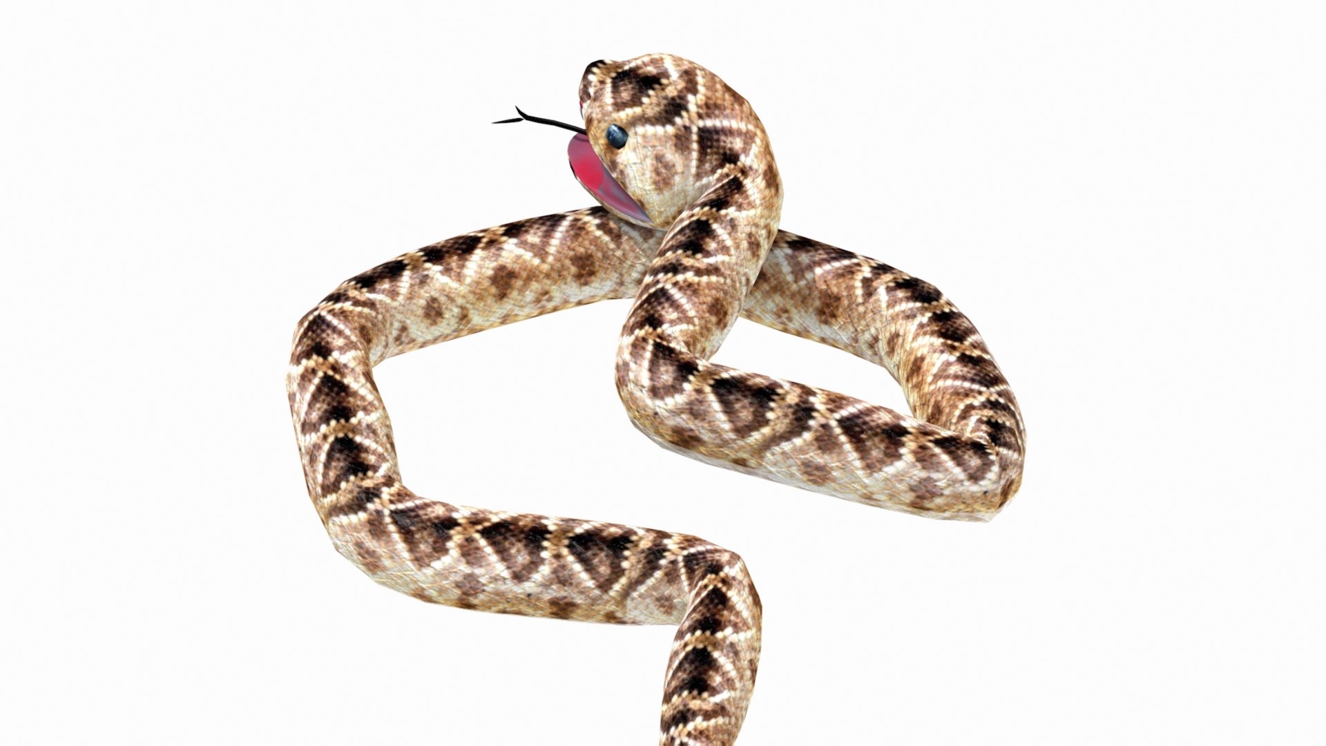 Rattlesnake Animated 3D Model - TurboSquid 2109757