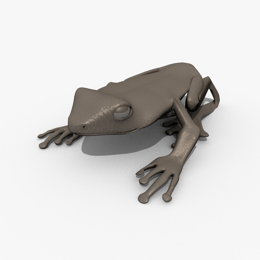 3d Model Red Eyed Tree Frog