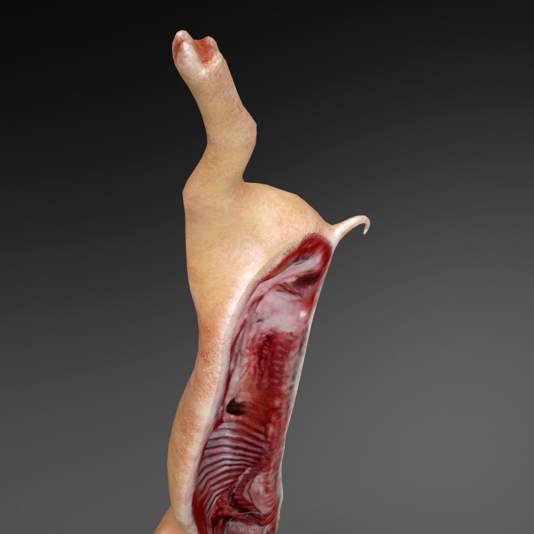 3ds max meat locker 2