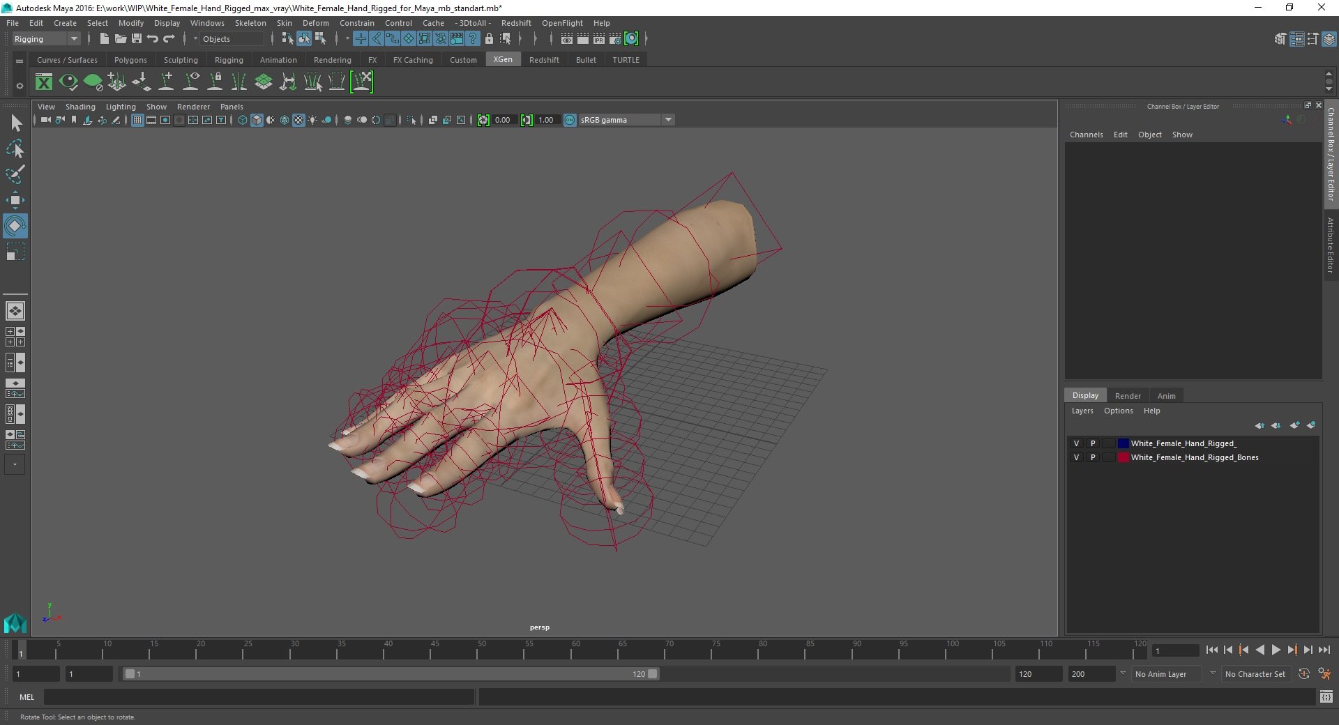 White Female Hand Rigged for Maya 3D - TurboSquid 2180881