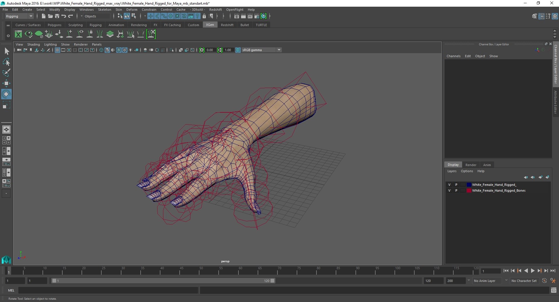 White Female Hand Rigged for Maya 3D - TurboSquid 2180881