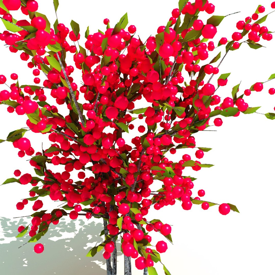 3d Model Ilex Verticillata Red Winterberry