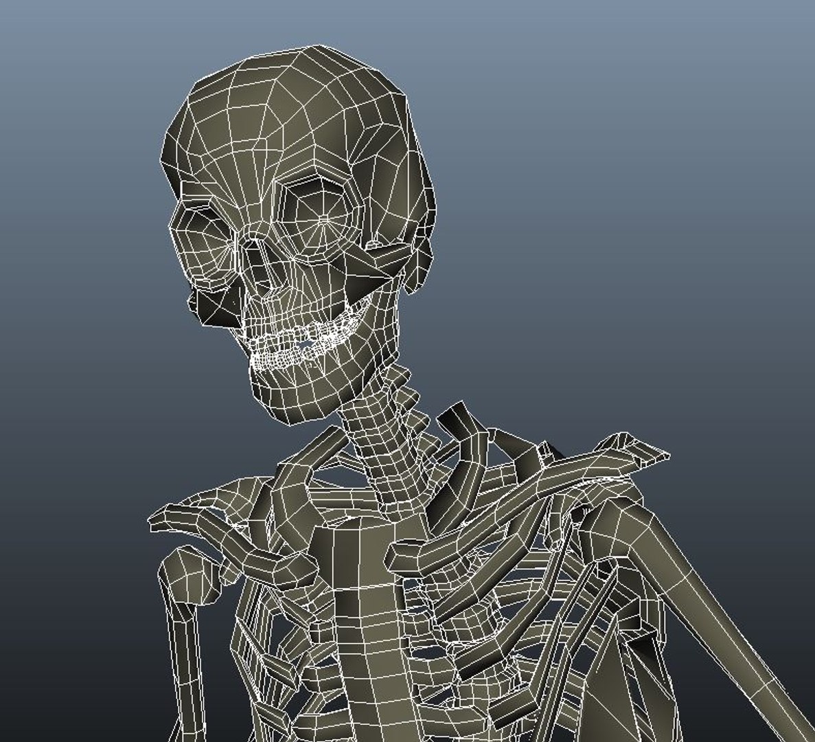 Walking Skeleton Animations Fbx