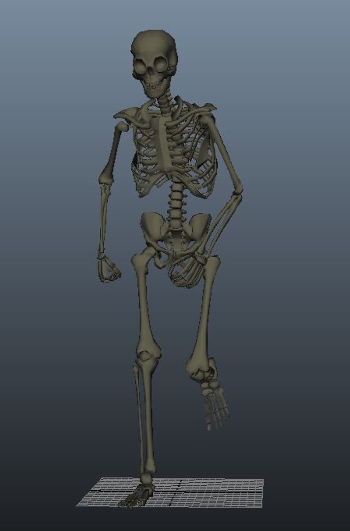 Walking Skeleton Animations Fbx