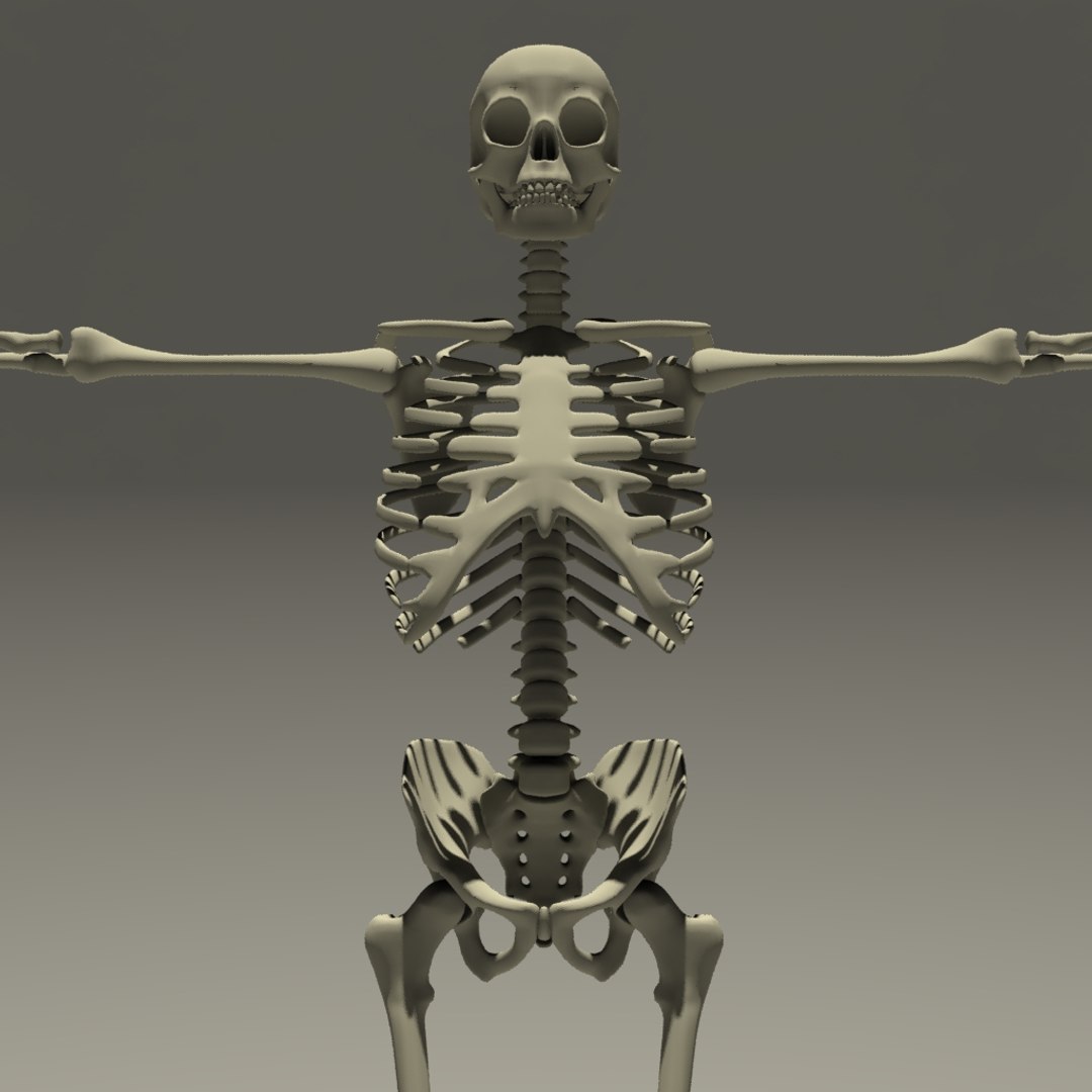 Walking Skeleton Animations Fbx