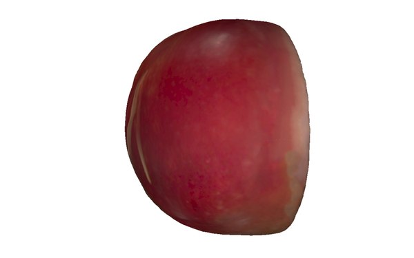 3D half apple - TurboSquid 1633570