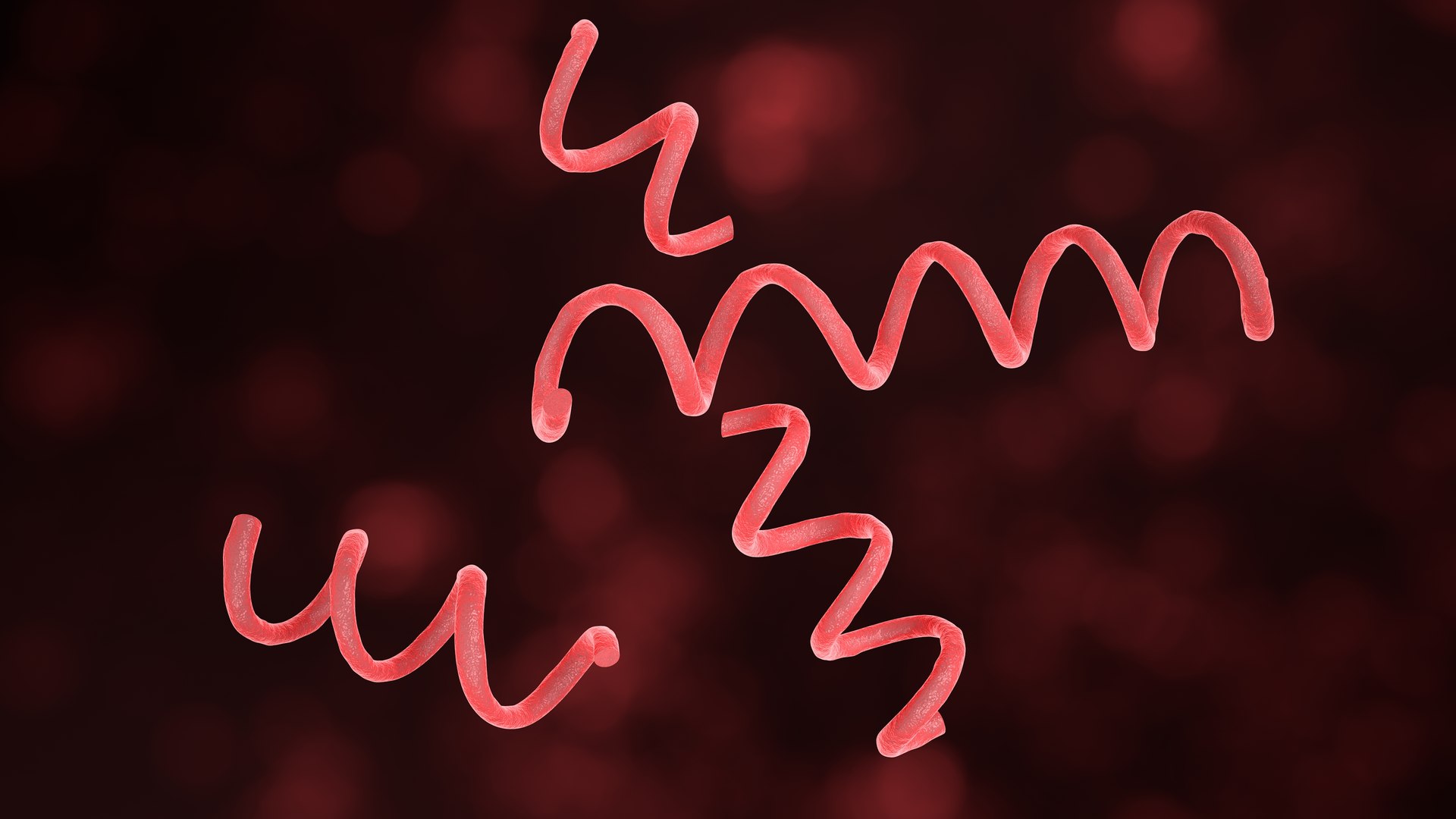 Syphilis Bacterium 3D Model - TurboSquid 2224937