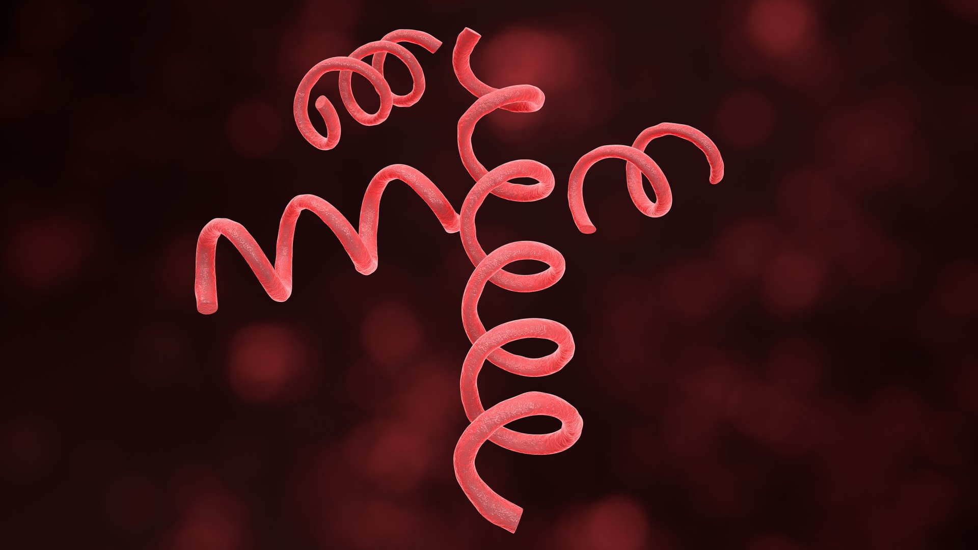 Syphilis Bacterium 3D Model - TurboSquid 2224937