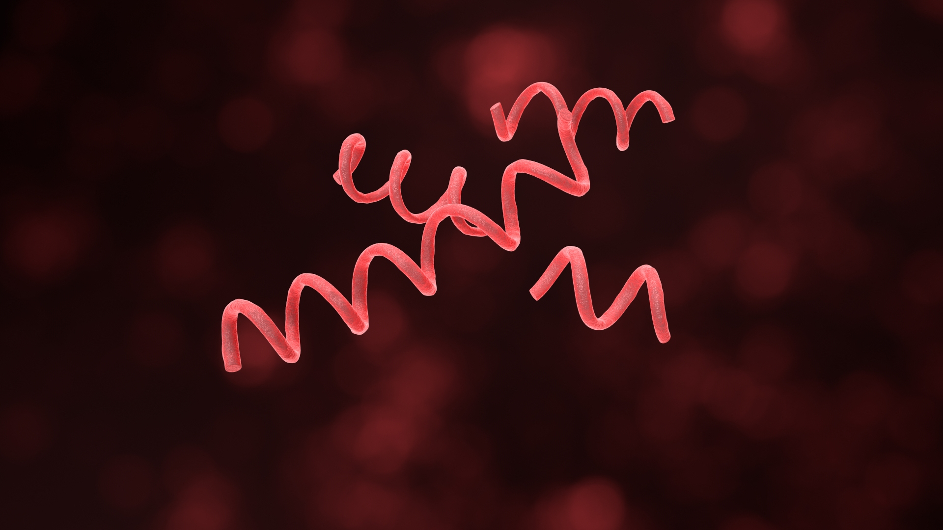 Syphilis Bacterium 3D Model - TurboSquid 2224937