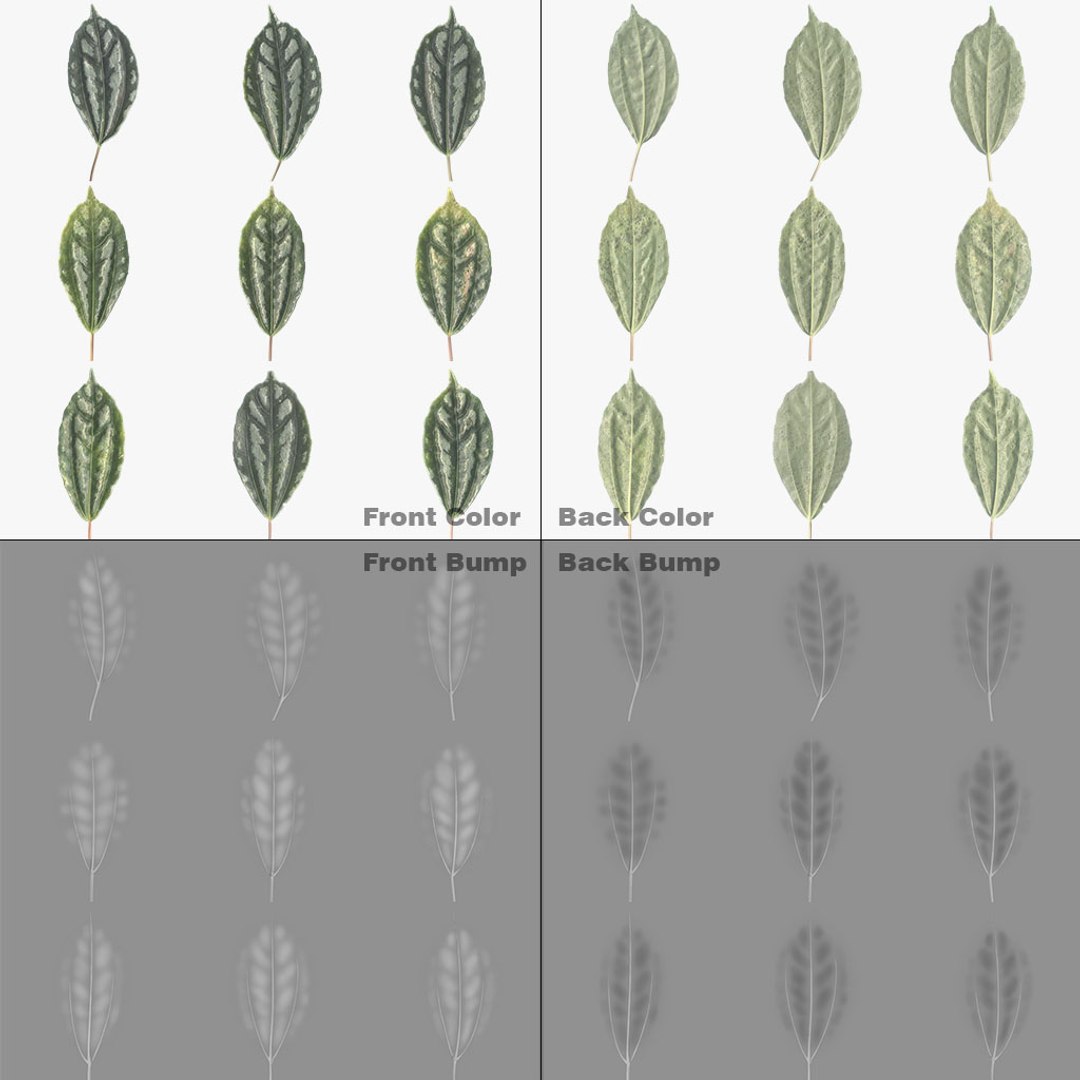 3D Bush Model - TurboSquid 1172855