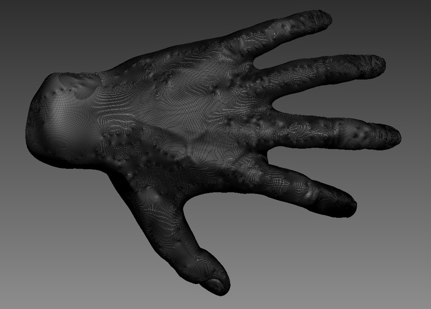 3d High-poly Hand Model