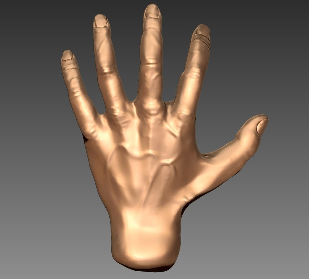 3d High-poly Hand Model