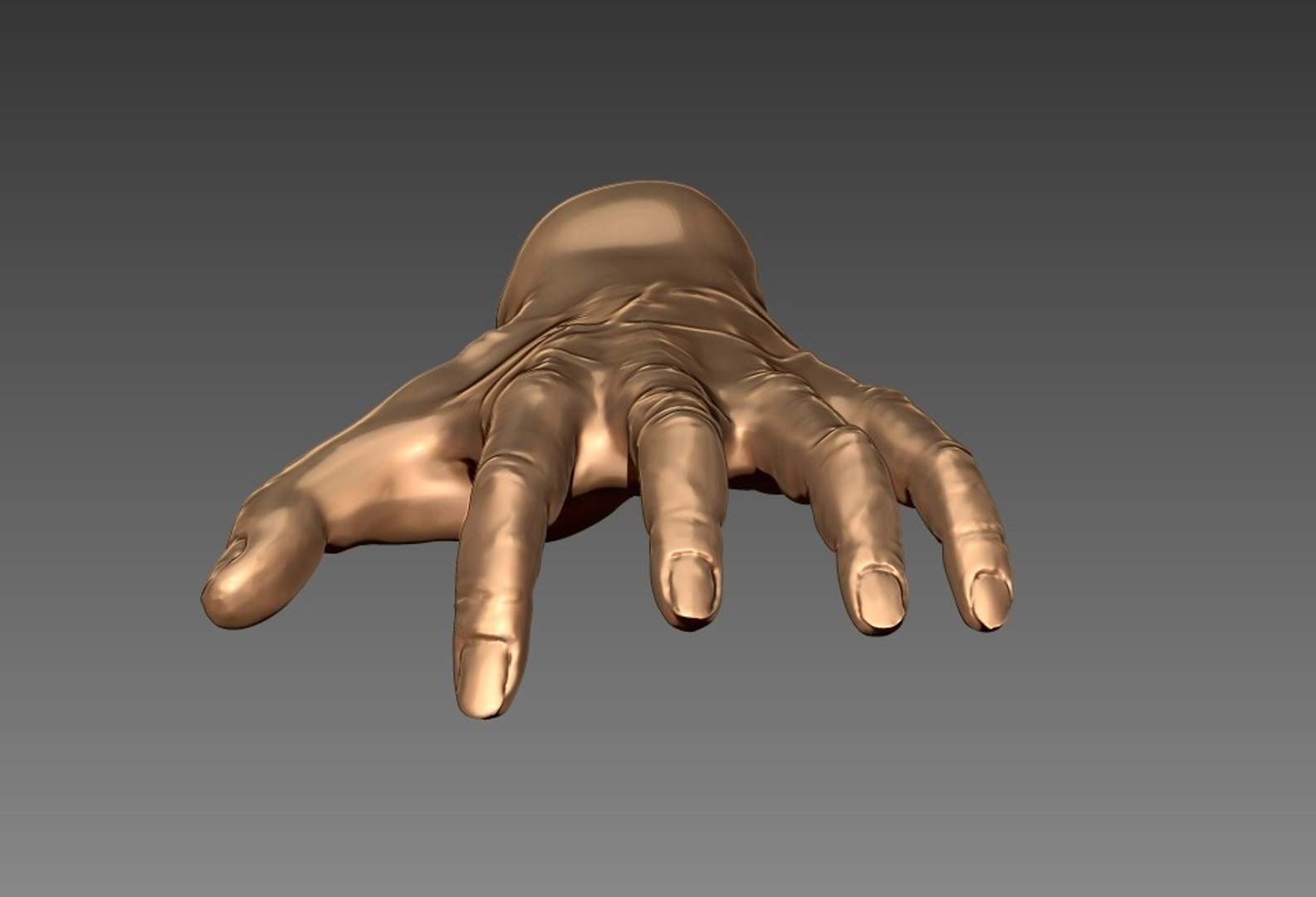 3d High-poly Hand Model