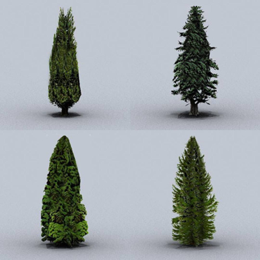 Tree 3d Model