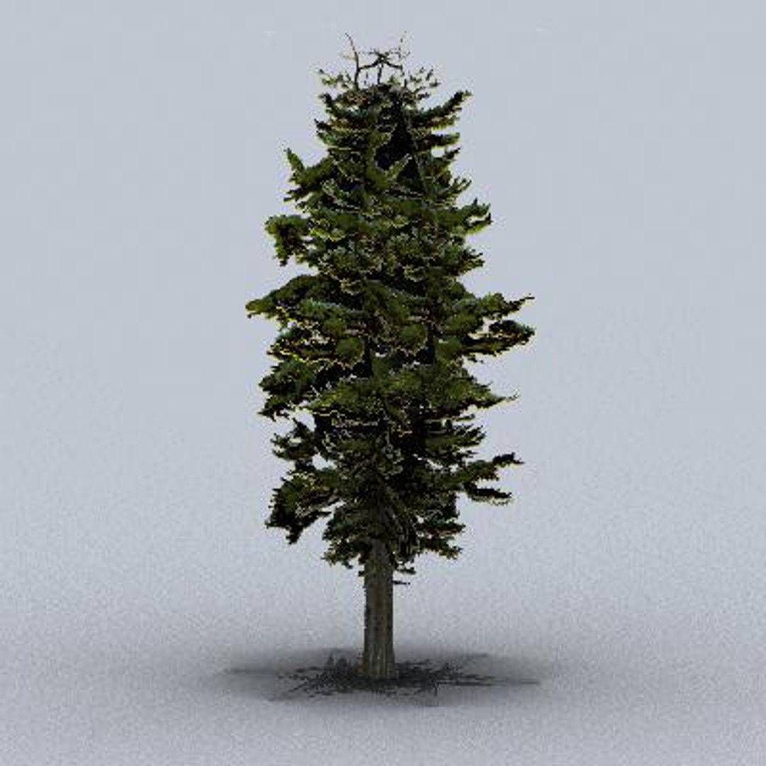 Tree 3d Model
