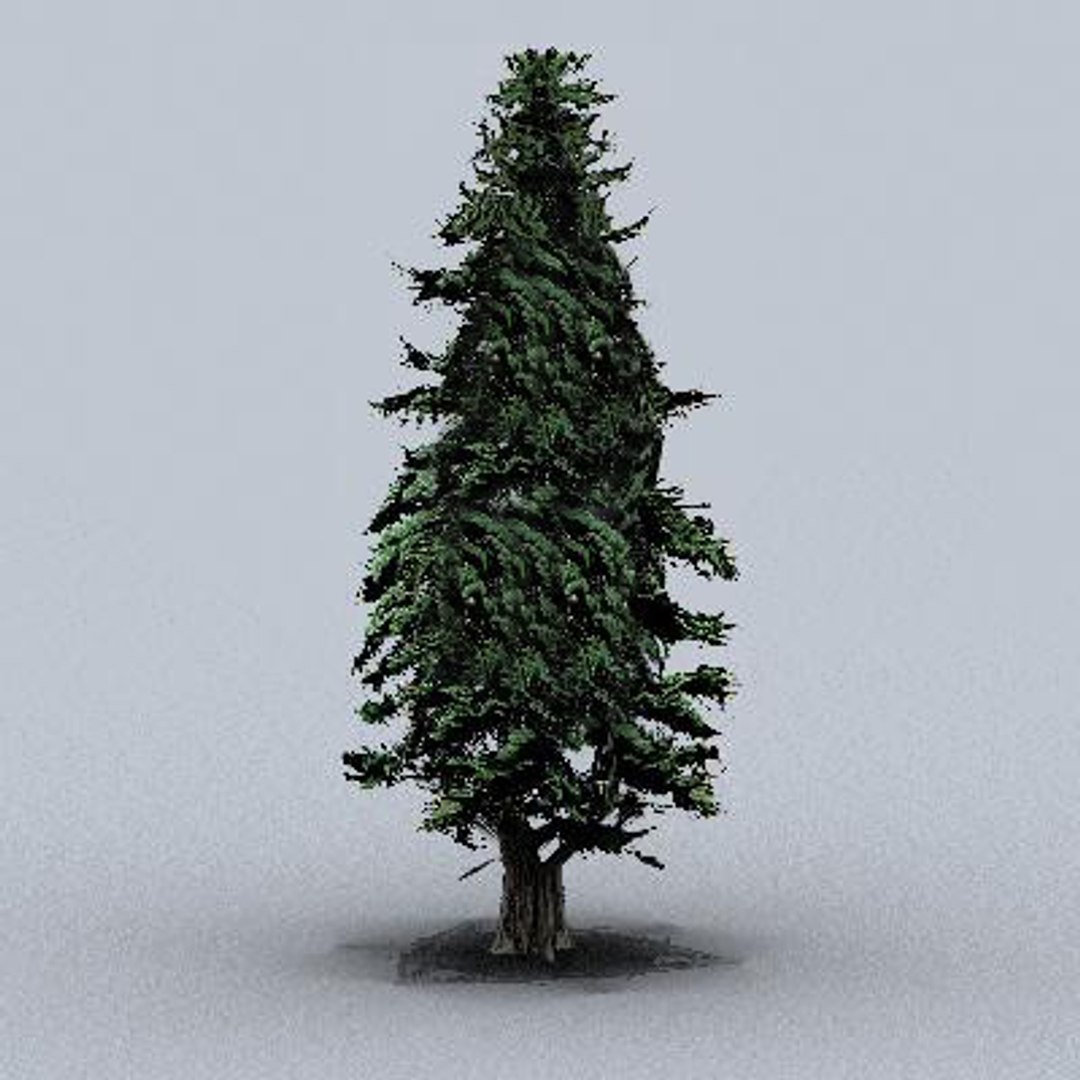 Tree 3d Model