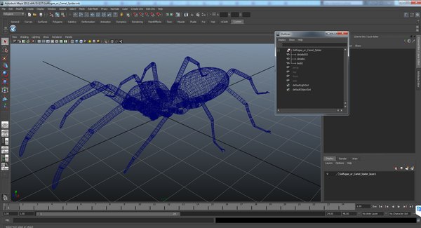 Solifugae camel spider 3D - TurboSquid 1195551