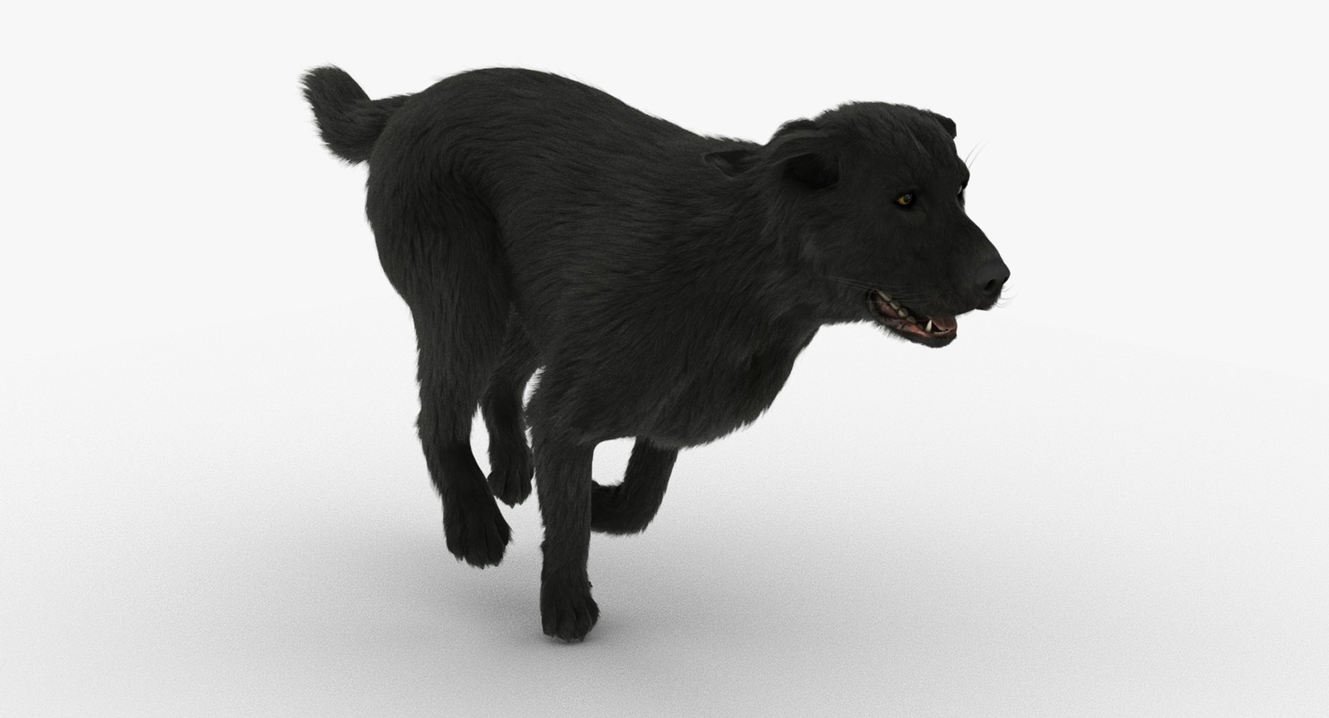 3d labrador black - fur model