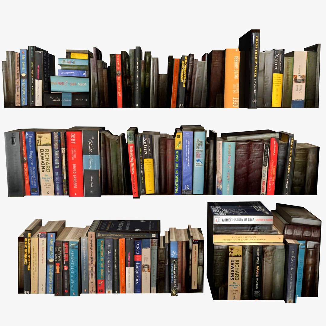 3d Model Books Library Office