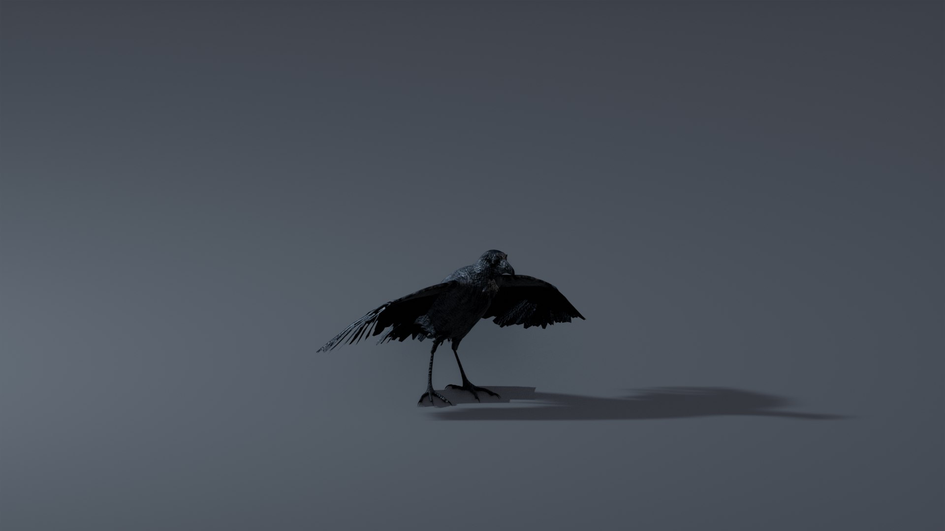 Photorealistic Crow - Rigged model - TurboSquid 2061357