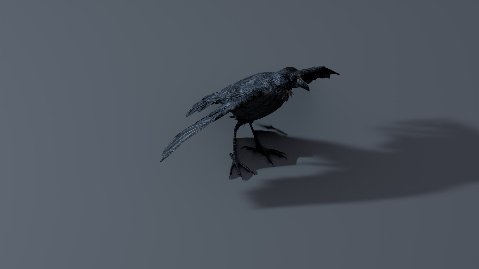 Photorealistic Crow - Rigged model - TurboSquid 2061357