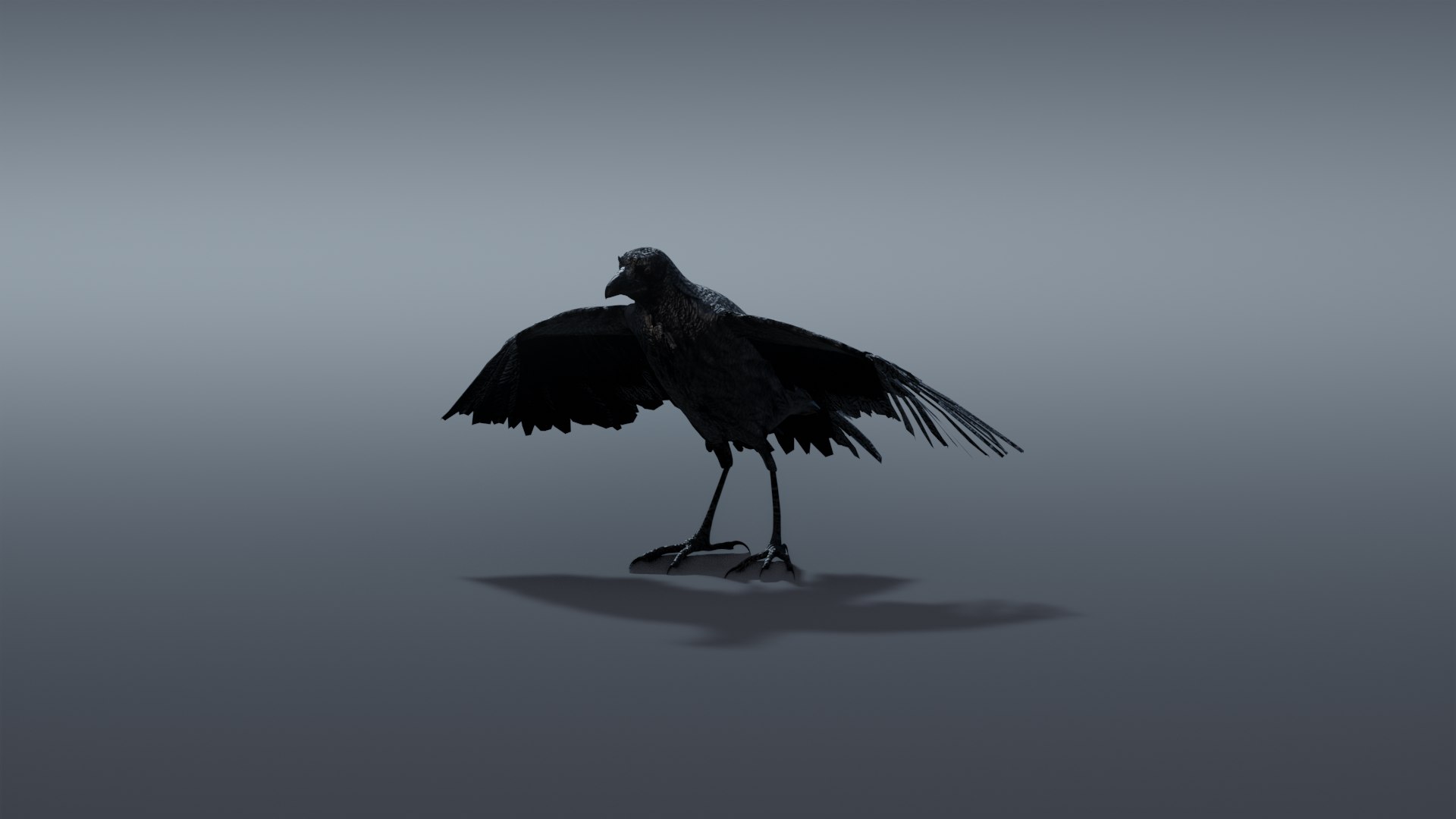 Photorealistic Crow - Rigged model - TurboSquid 2061357