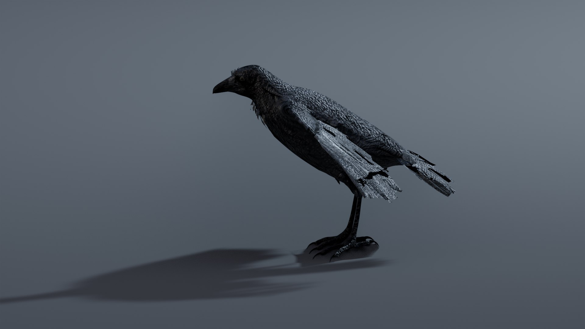 Photorealistic Crow - Rigged model - TurboSquid 2061357