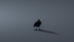 Animated Crow 3D Models for Download | TurboSquid