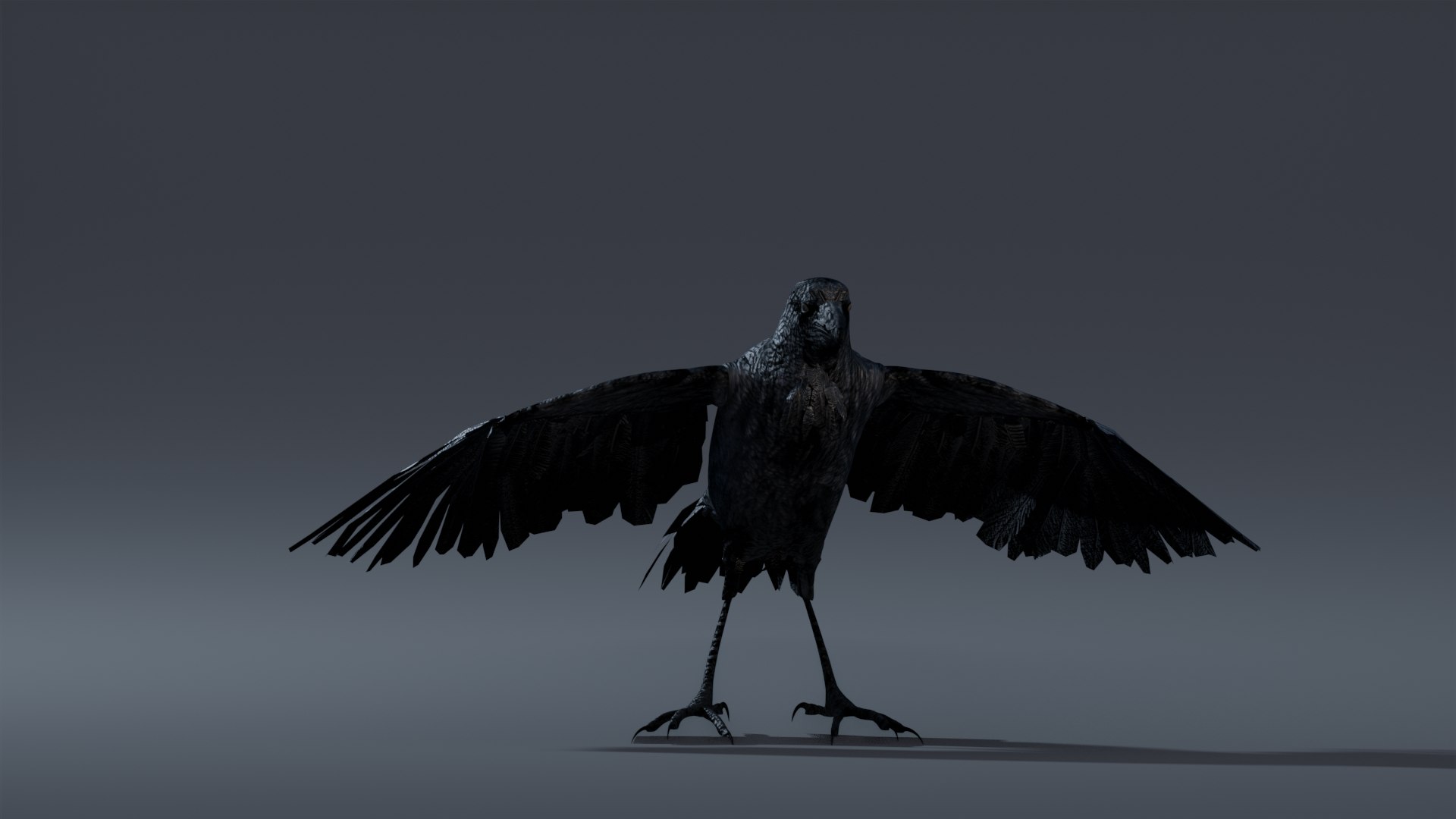 Photorealistic Crow - Rigged model - TurboSquid 2061357