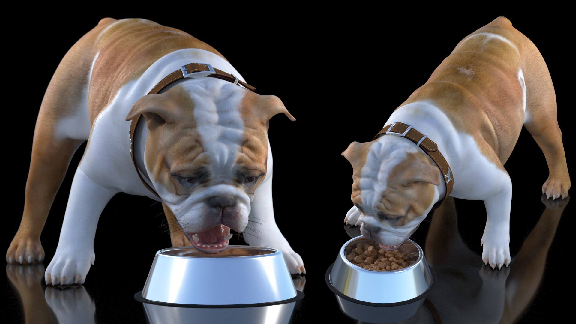 3D Bulldog Eats Out Of The Bowl - TurboSquid 2180067