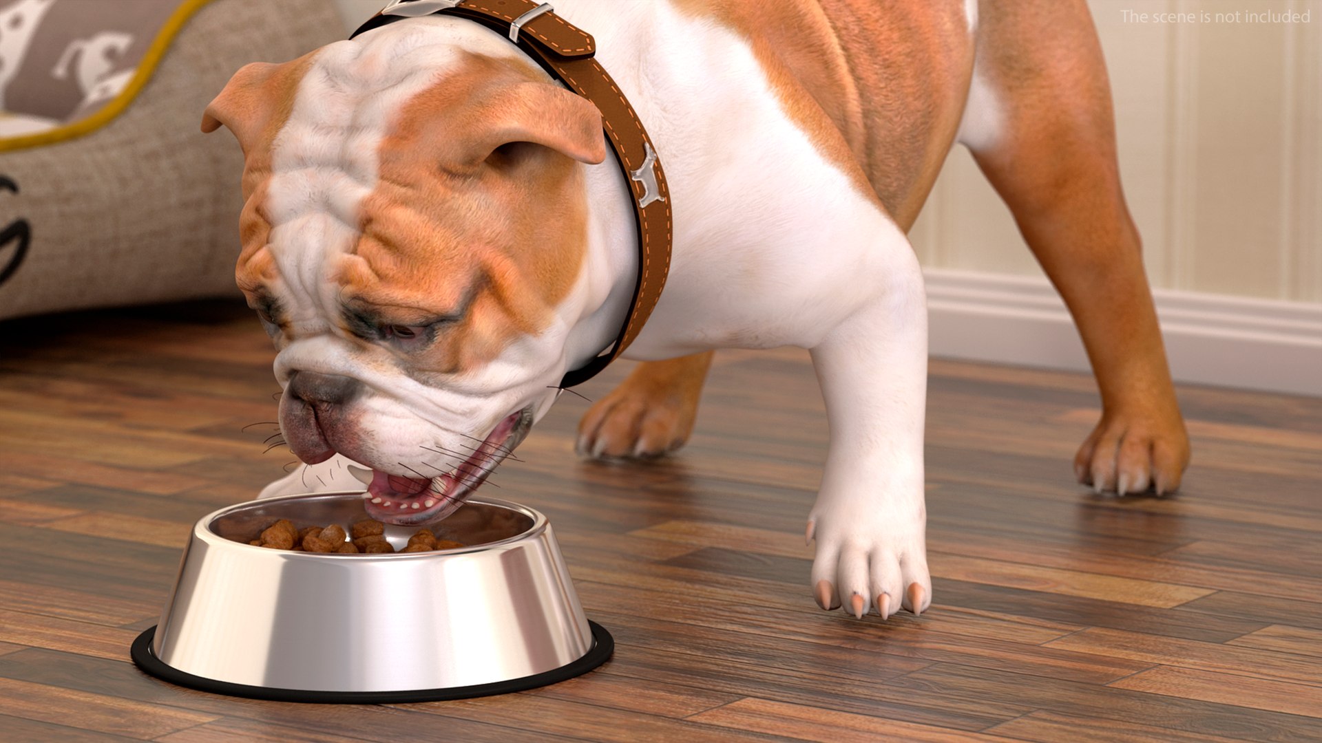 3D Bulldog Eats Out Of The Bowl - TurboSquid 2180067