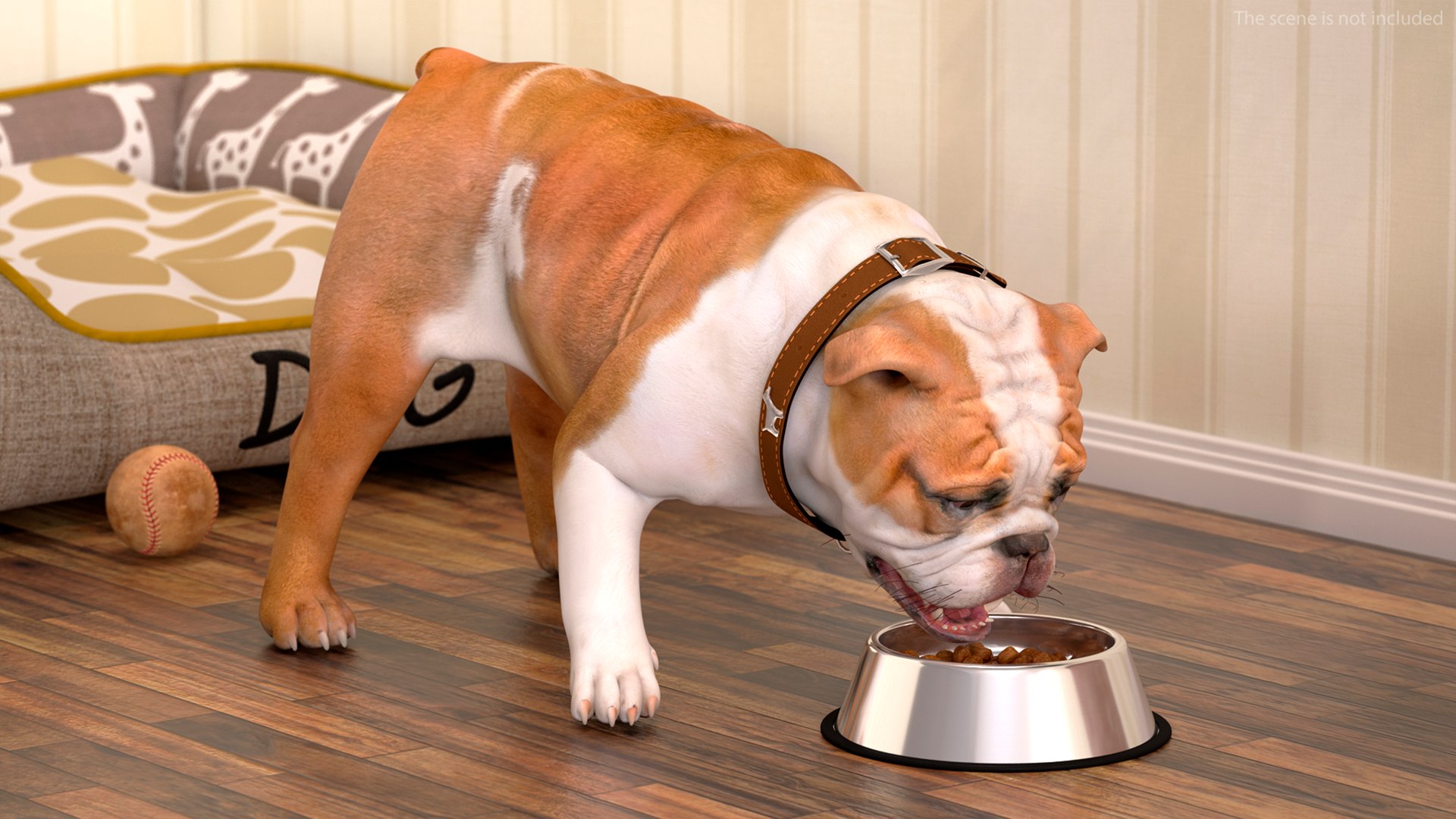 3D Bulldog Eats Out Of The Bowl - TurboSquid 2180067