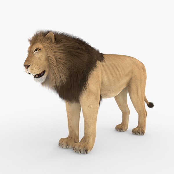 Lion Blender Models for Download | TurboSquid