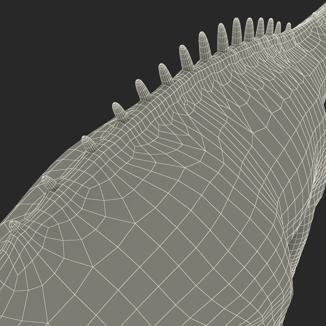 3d model diplodocus prehistoric