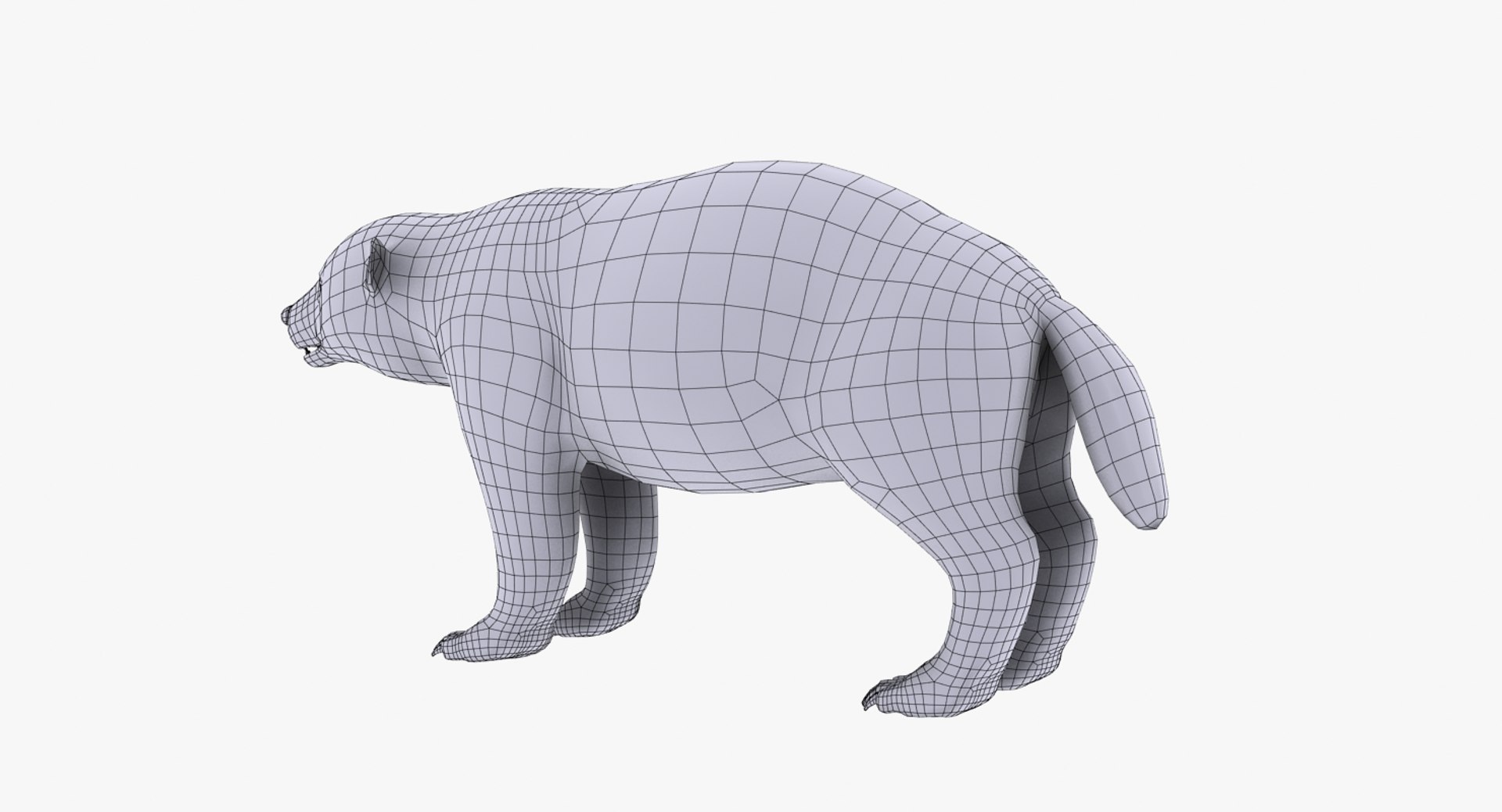 3D wolverine mammal fauna - TurboSquid 1402379