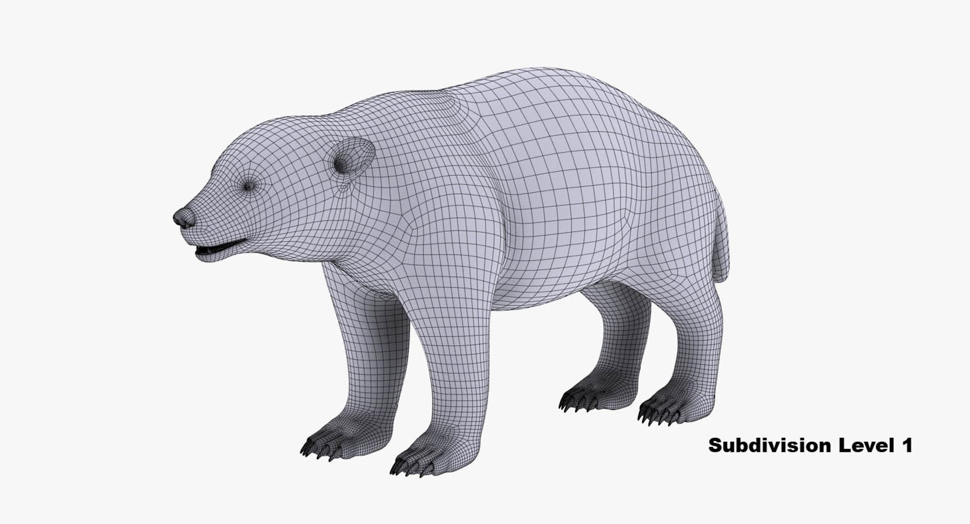 3D wolverine mammal fauna - TurboSquid 1402379